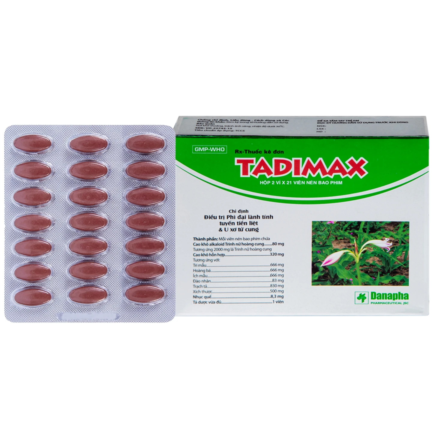 Thuốc Tadimax Danapha hỗ trợ trị u xơ tiền liệt tuyến