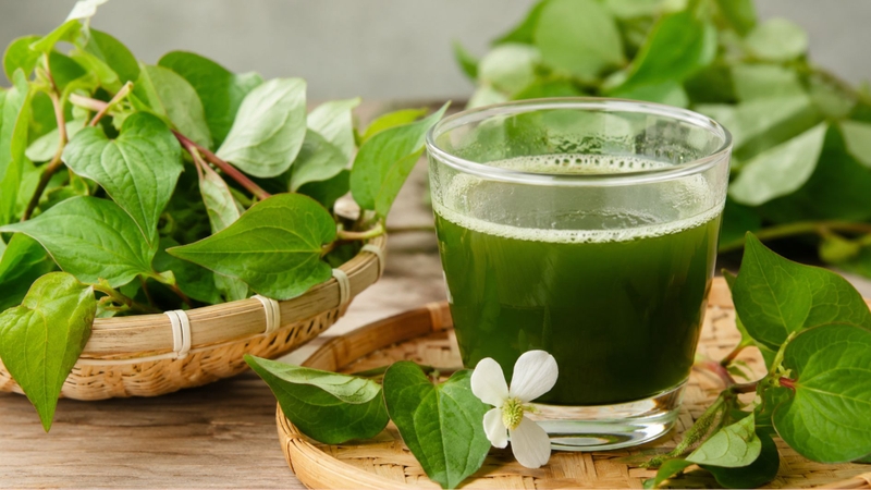 Tăng huyết áp có uống được nước rau diếp cá không? Những lưu ý - Nhà ...