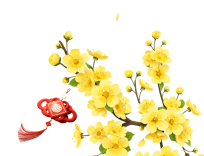 Thuốc nhỏ mắt Polydeson trị viêm, nhiễm trùng ở mắt (5ml)