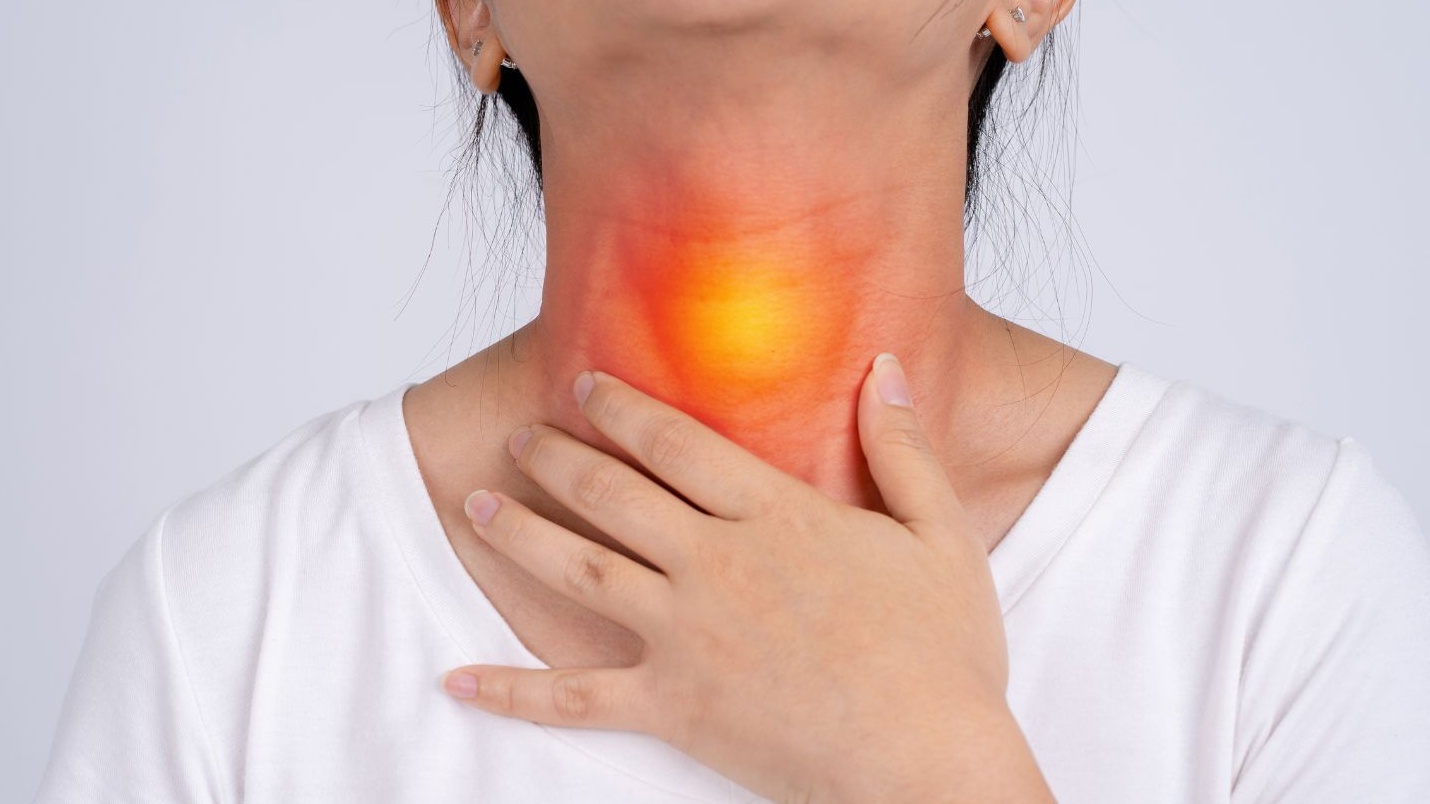 Amidan là gì? Amidan có tác dụng gì và các bệnh liên quan