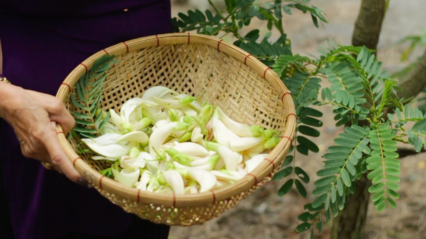 Bà bầu ăn bông so đũa được hay không? Cần lưu ý gì khi ăn?