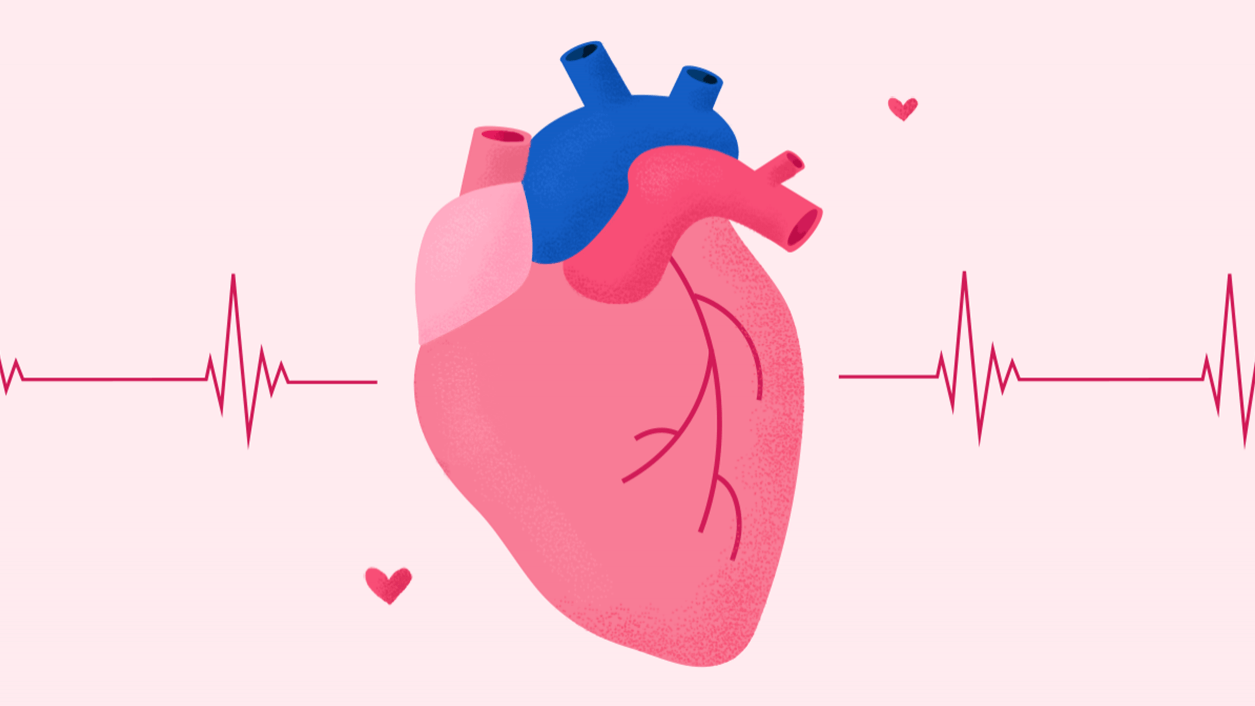 Cách ổn định nhịp tim hiệu quả và phương pháp phòng ngừa