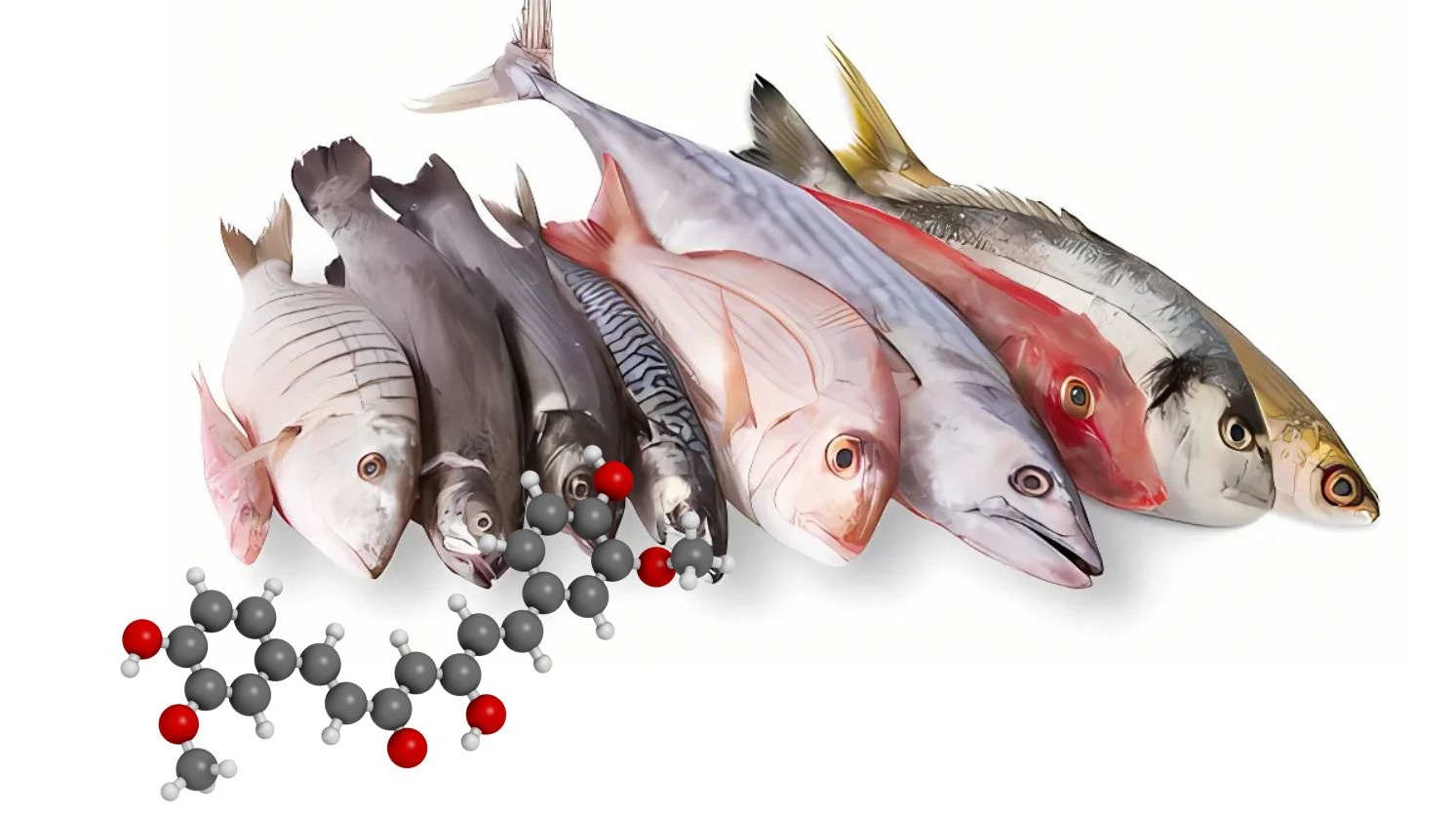 Ciguatoxin: Độc tố thần kinh mạnh trong cá biển và cách phòng