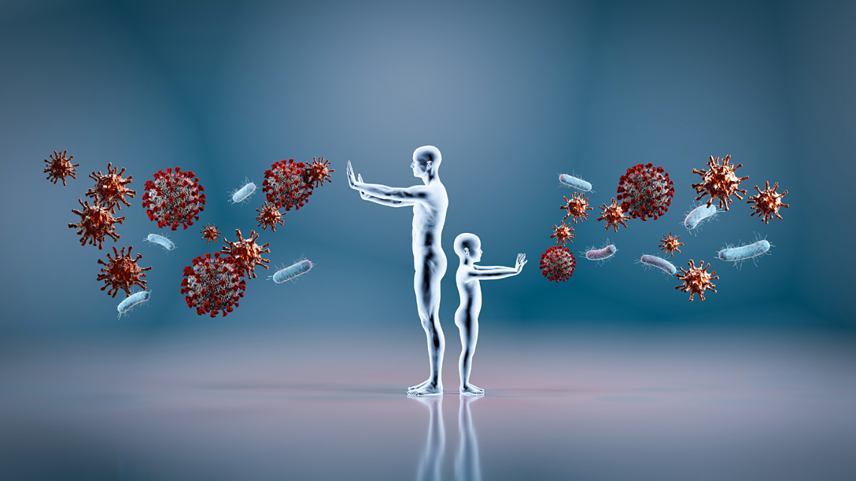 Cơ chế hoạt động của hệ miễn dịch và những thông tin cần biết - Nhà ...