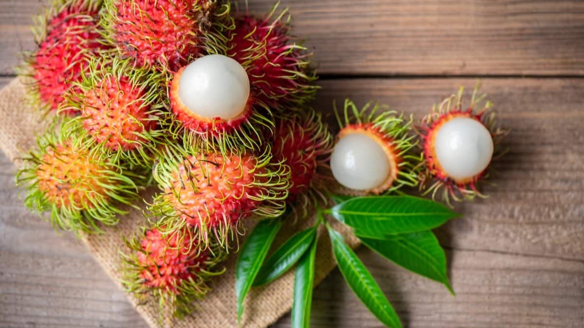 Ăn hạt chôm chôm có sao không? Lợi ích từ hạt chôm chôm đối với sức ...