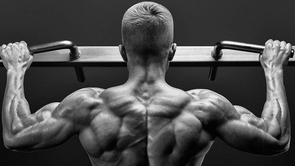 Hít xà đơn tốn bao nhiêu calo? Hướng dẫn hít xà đơn đúng cách - Nhà ...