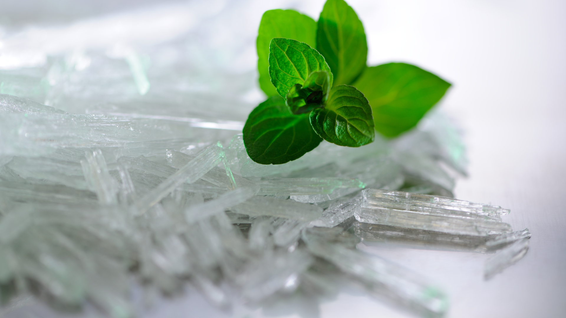 Menthol là gì? 10 tác dụng của menthol với sức khỏe