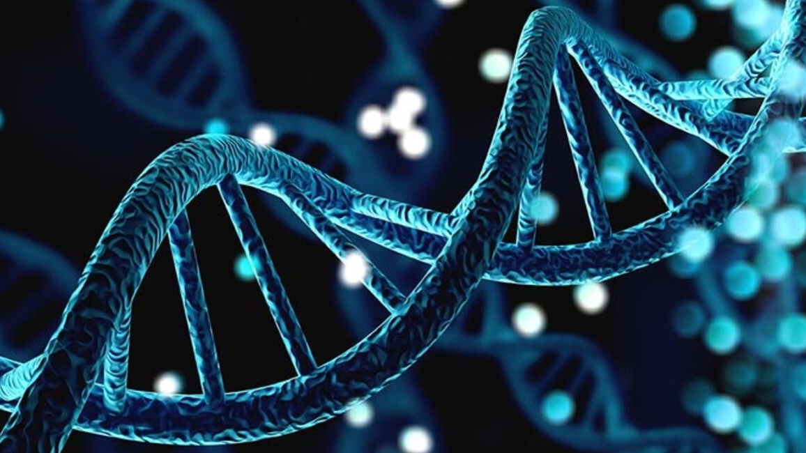 Next Generation Sequencing là gì? Các ứng dụng phổ biến