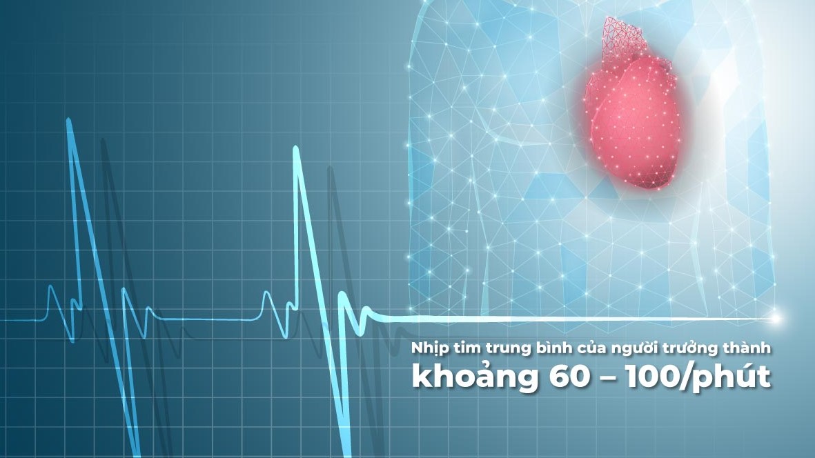 Nhịp tim trung bình của người là bao nhiêu? Cách đo nhịp tim
