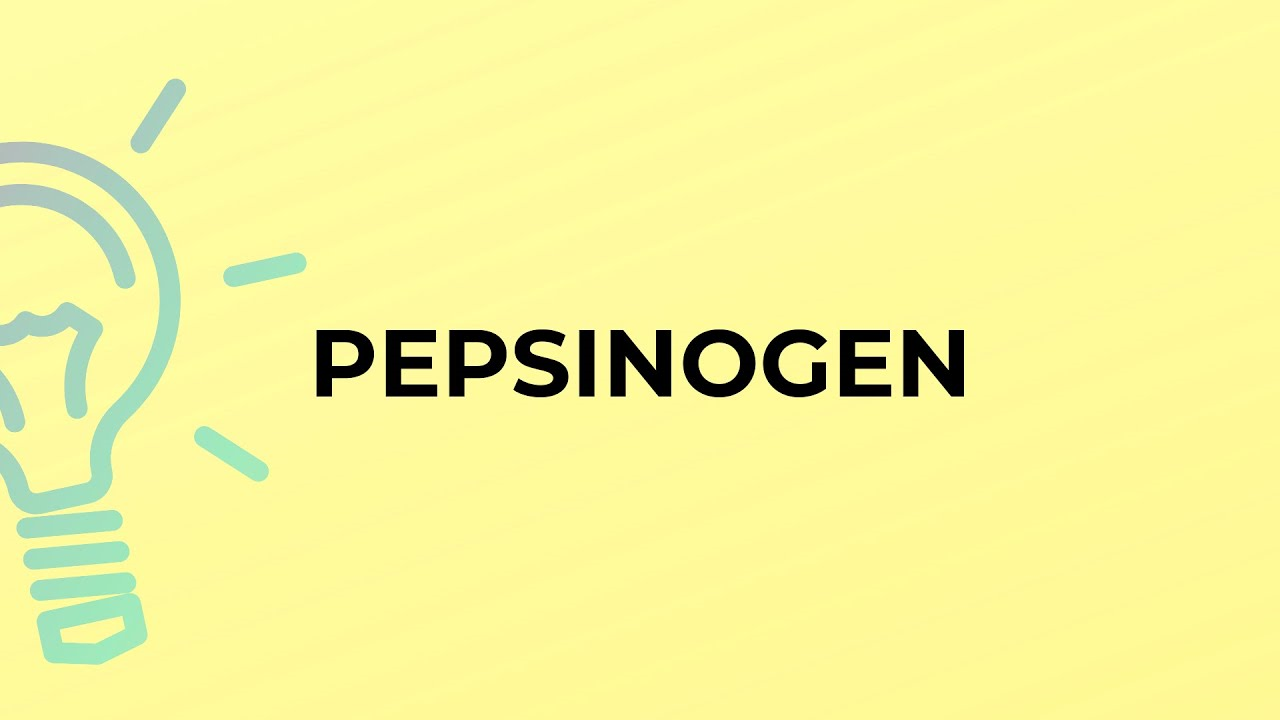 Pepsinogen là gì? Chỉ số Pepsinogen 1 thấp có ý nghĩa gì? - Nhà thuốc ...