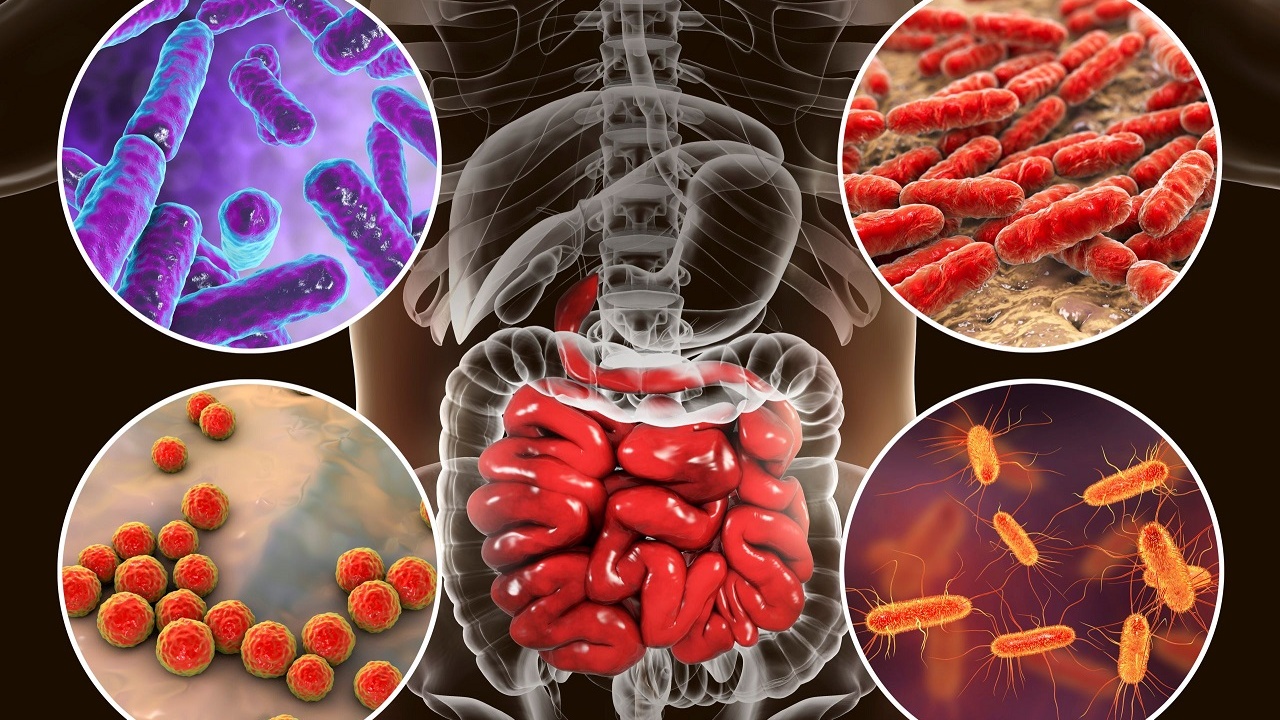 Thuốc Meritintab là thuốc gì? Những điều cần biết khi sử dụng thuốc ...