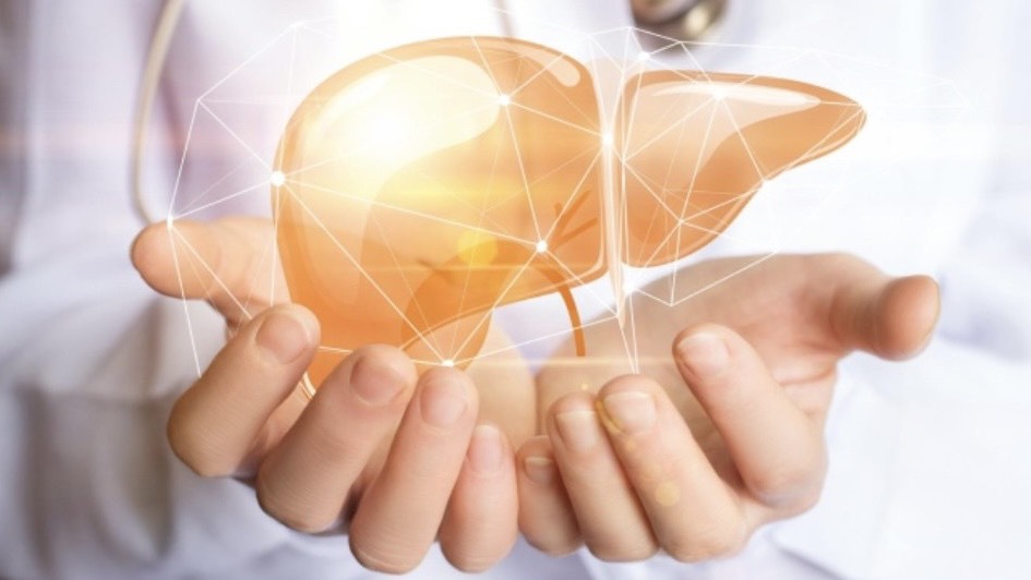 Tiểu đường biến chứng qua gan: Diễn tiến, cách phòng ngừa