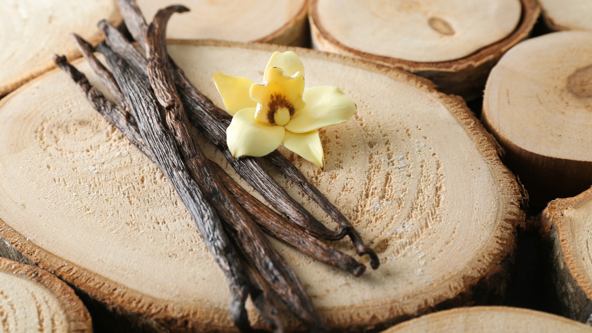 Vanilla là gì? Tất tần tật những điều bạn nên biết về vanilla - Nhà ...