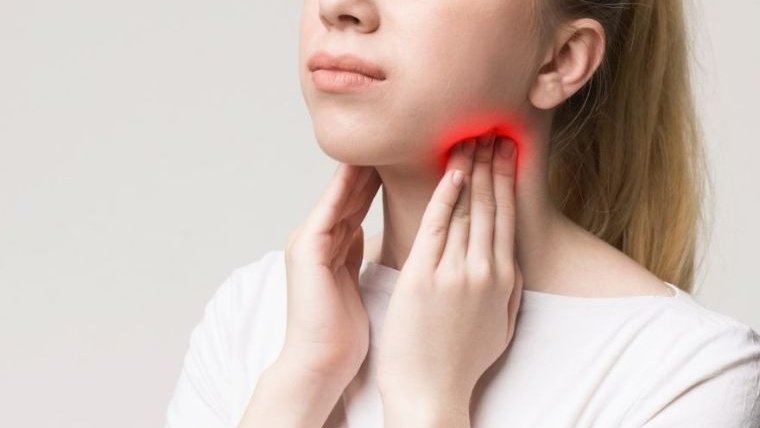 Vị trí của amidan nằm ở đâu? Cấu tạo và chức năng của amidan